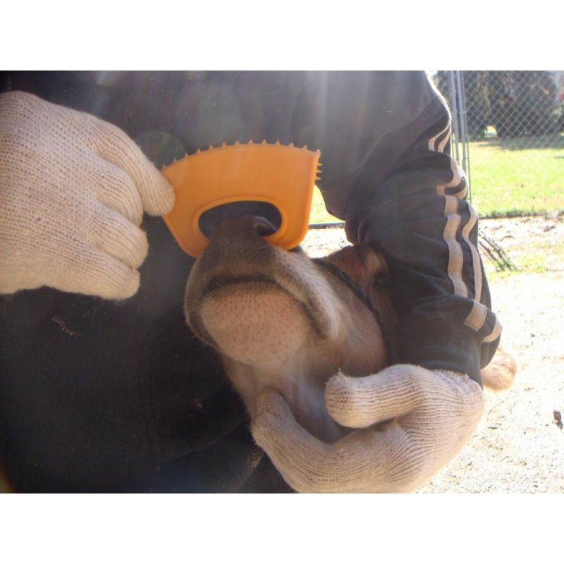 Plastic Orange Calf Weaner
