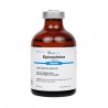 Epinephrine Injection 50ml - RX