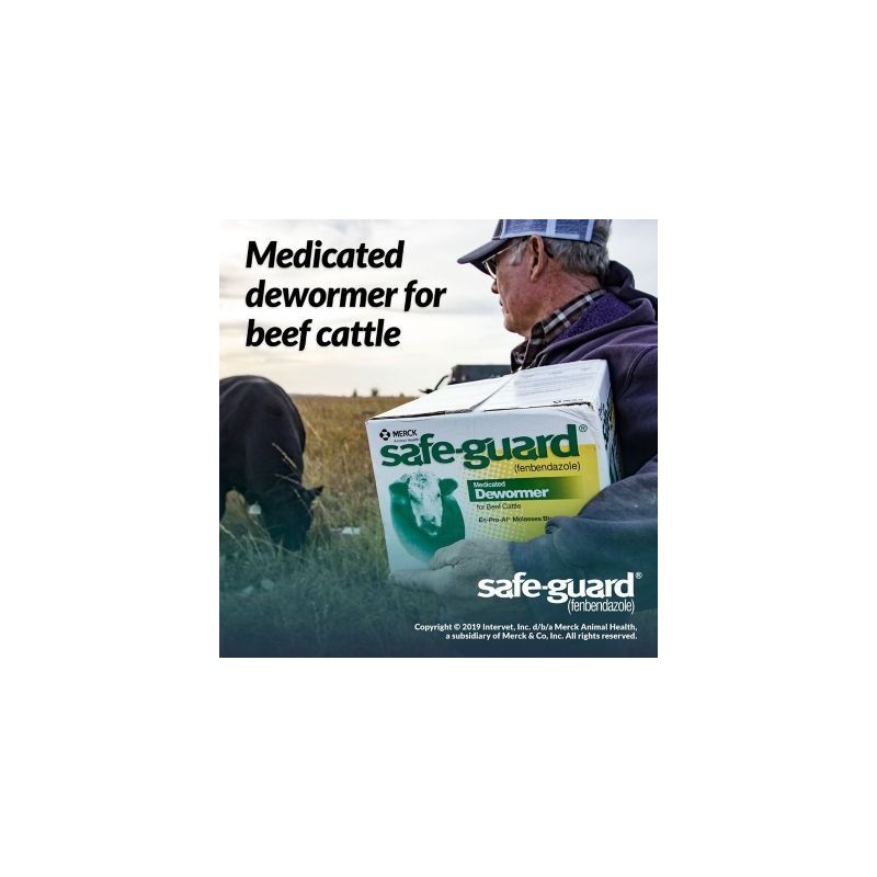 Safe-Guard Block Dewormer 25 lb. Block